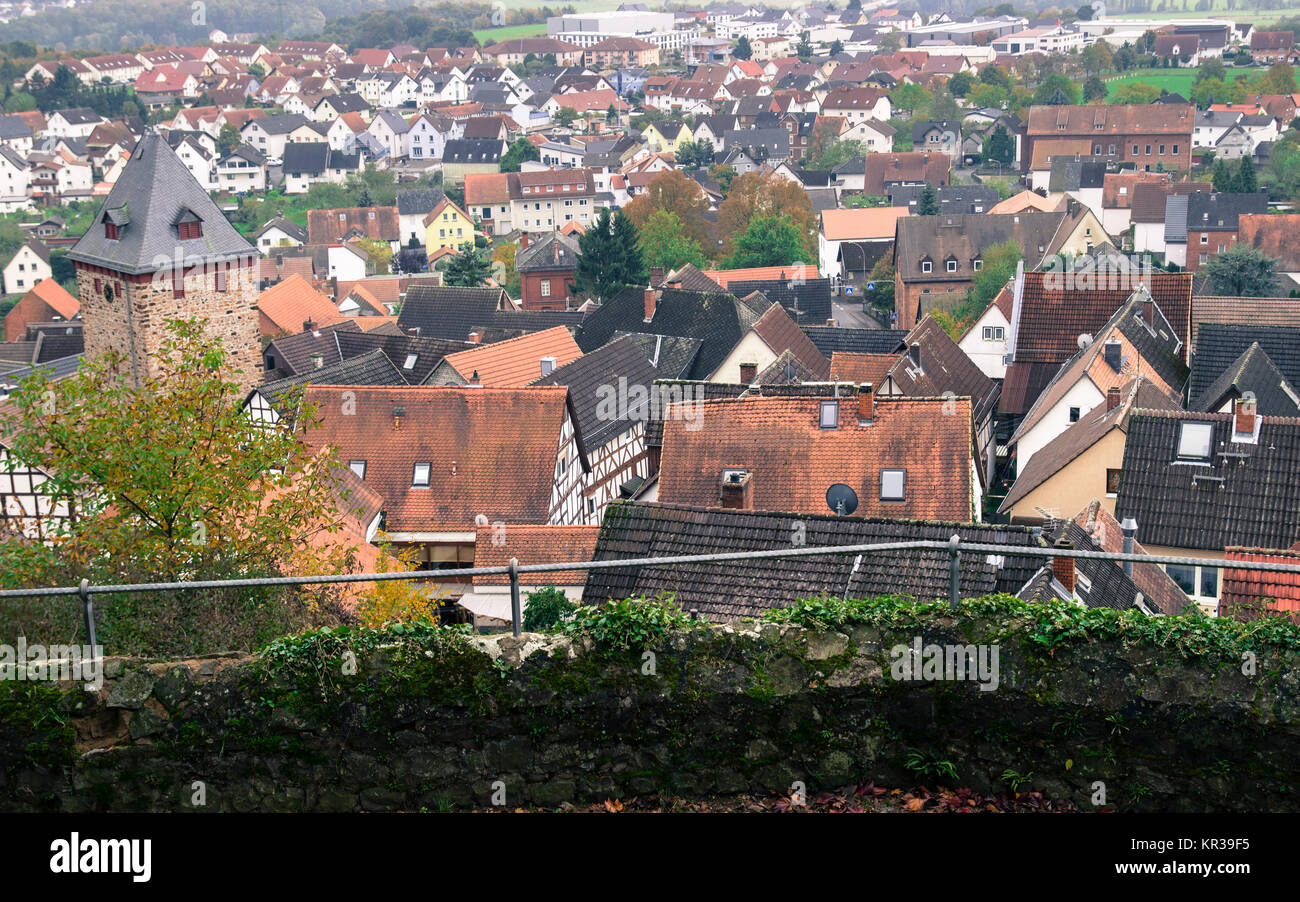 Palia bird hi-res stock photography and images - Alamy