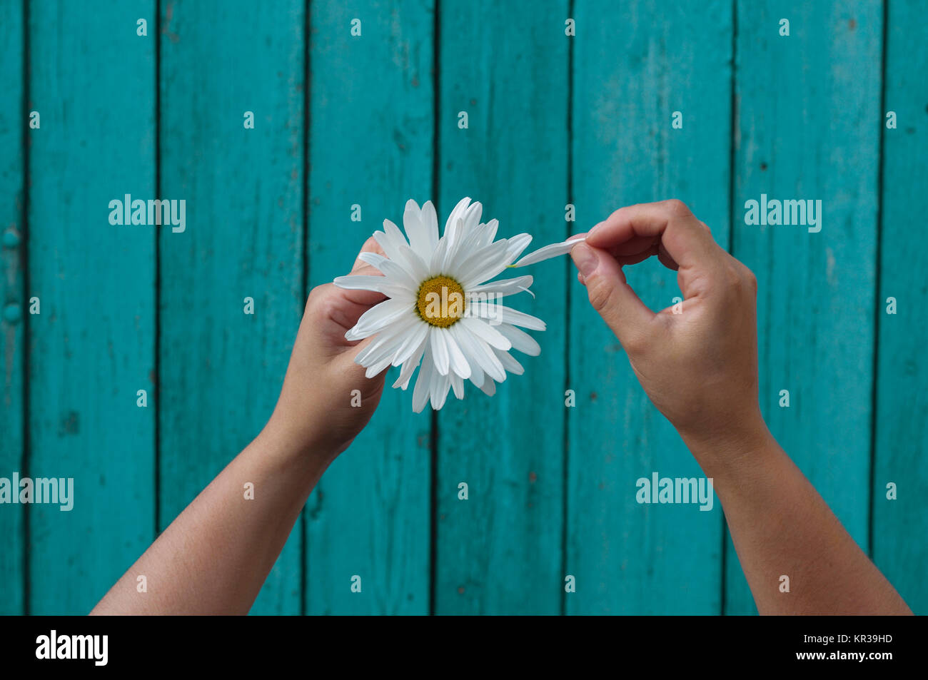 Hand tears off hi-res stock photography and images - Alamy