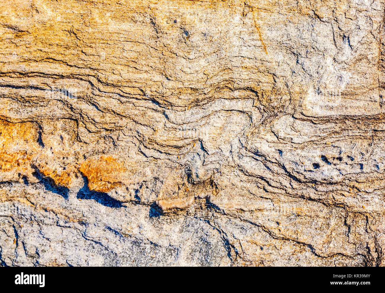 beautiful pattern in Stone at the coast Stock Photo - Alamy