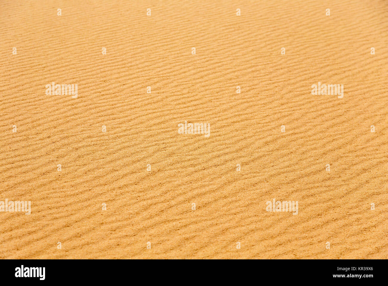 Desert sand pattern texture background from the sand in the Dunes of ...