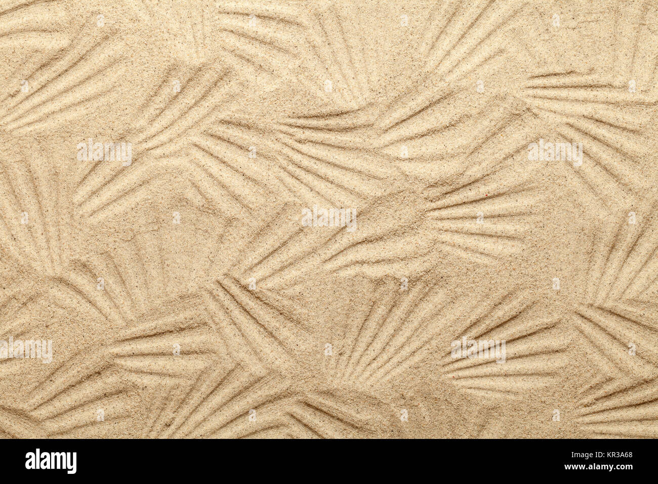shell patterns on sandy beach Stock Photo - Alamy
