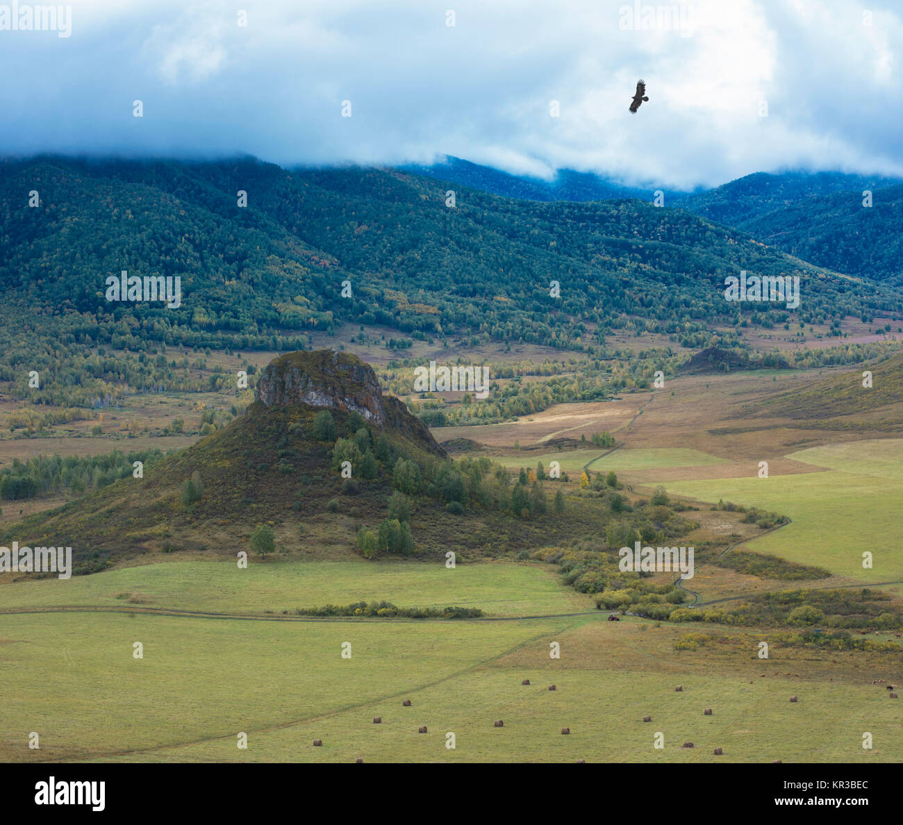 Altay mountains in Siberia Stock Photo - Alamy