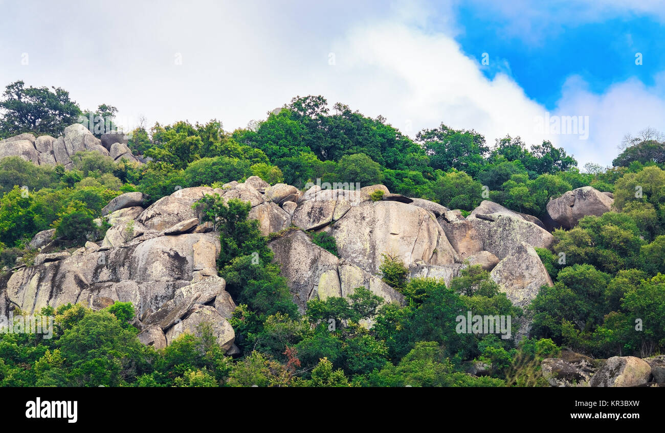 Rocks with trees Stock Photo - Alamy