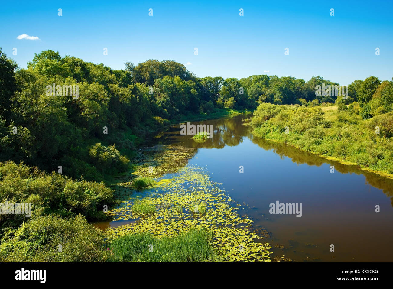 Landscape with a river Stock Photo - Alamy