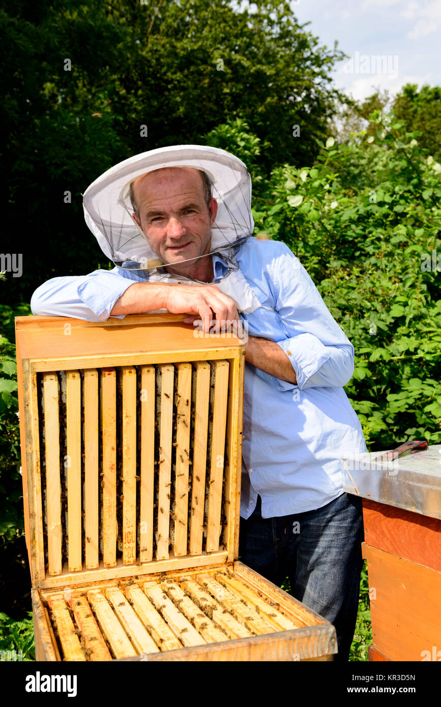 beekeeper at work Stock Photo - Alamy