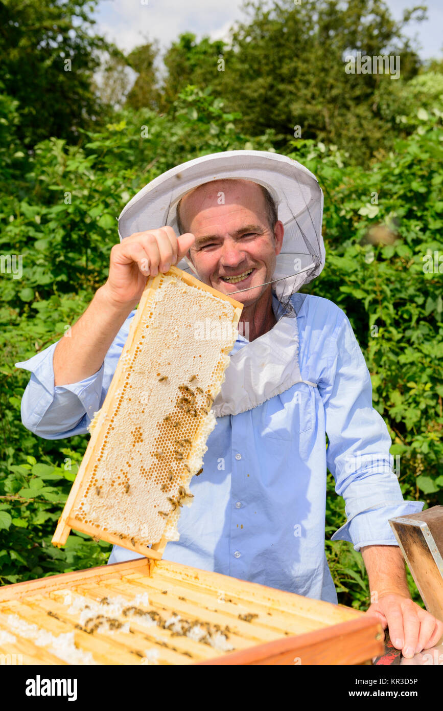 beekeeper at work Stock Photo - Alamy