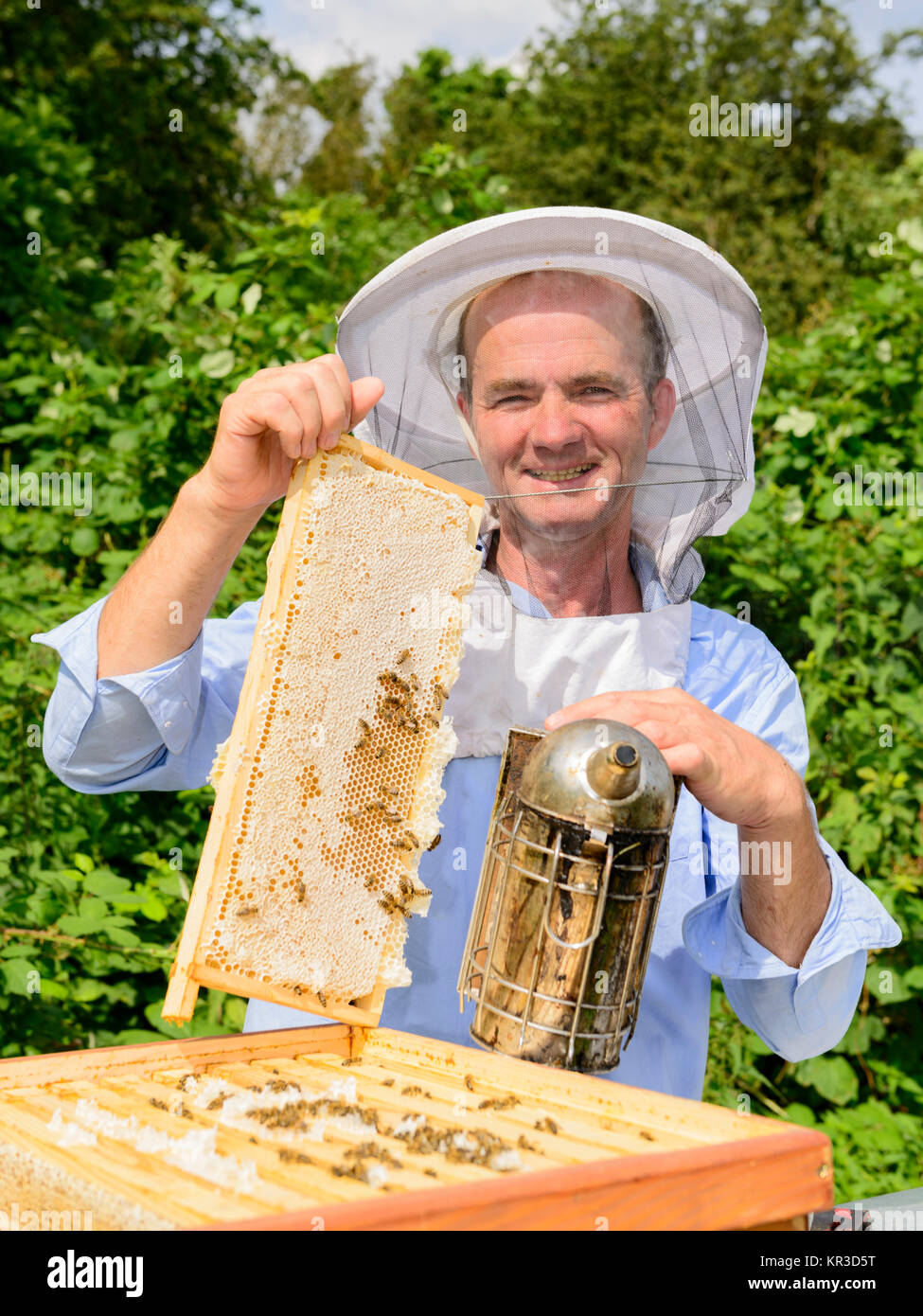 beekeeper at work Stock Photo - Alamy