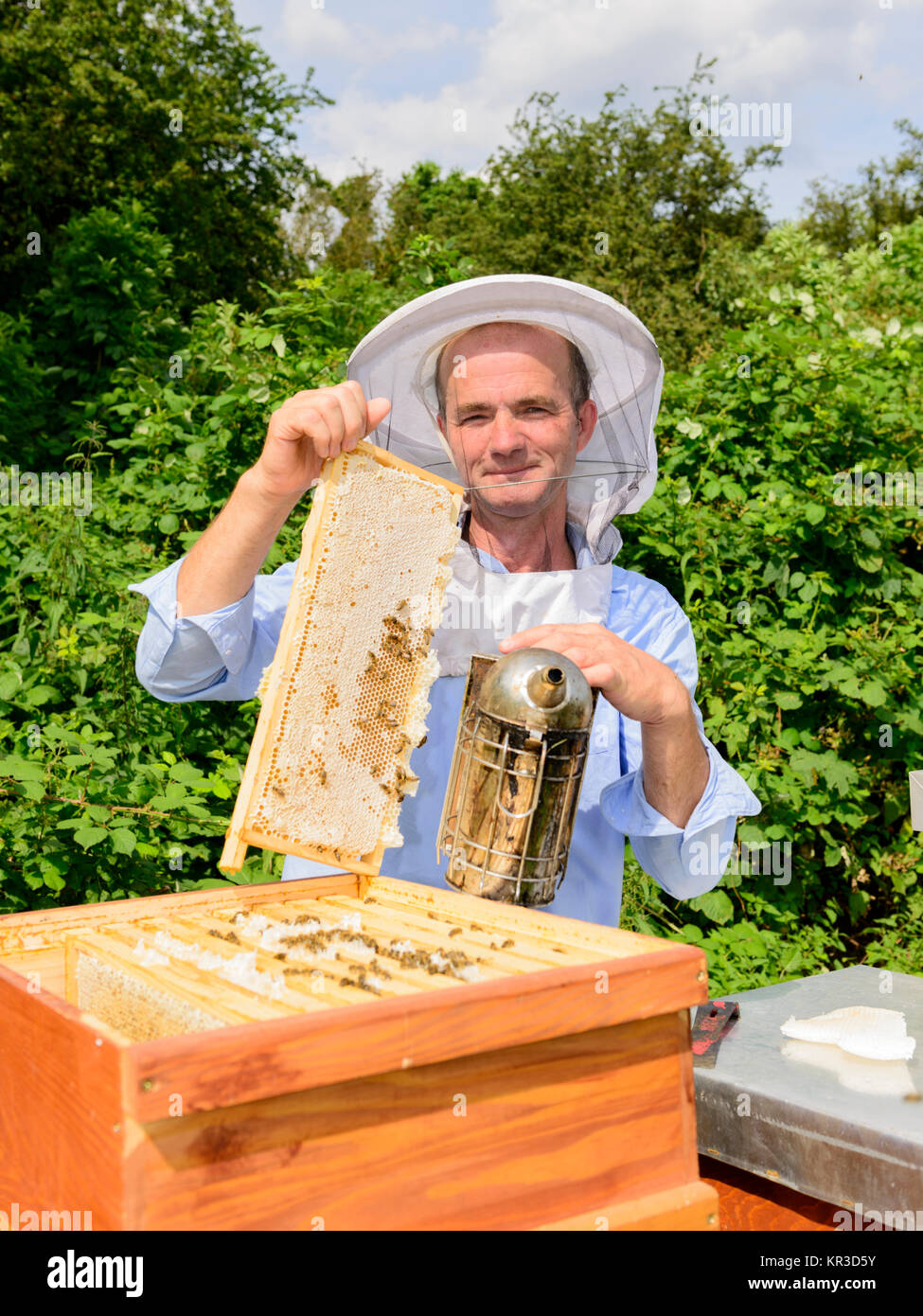 beekeeper at work Stock Photo - Alamy