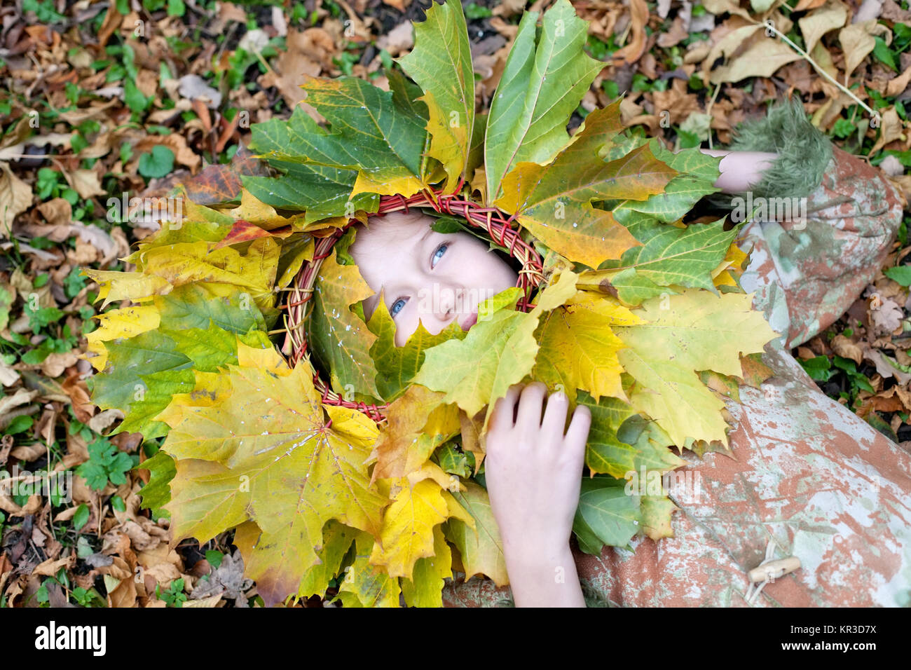Funny look inside fall hi-res stock photography and images - Alamy