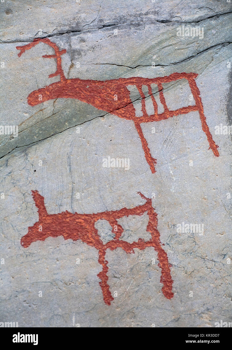 prehistoric rock carving petroglyphs on stone surface closeup, Alta ...