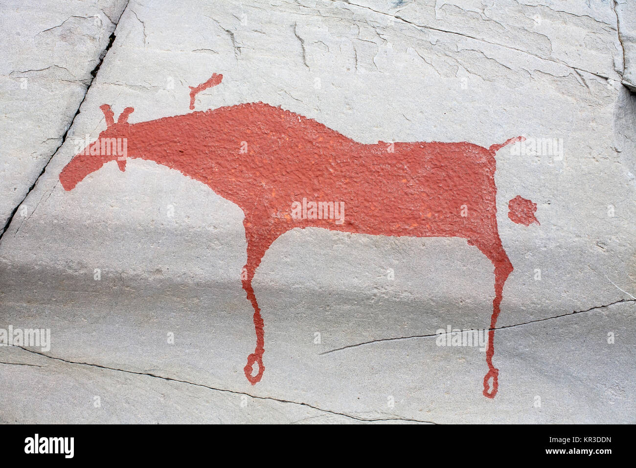 prehistoric rock carving petroglyphs on stone surface closeup, Alta ...