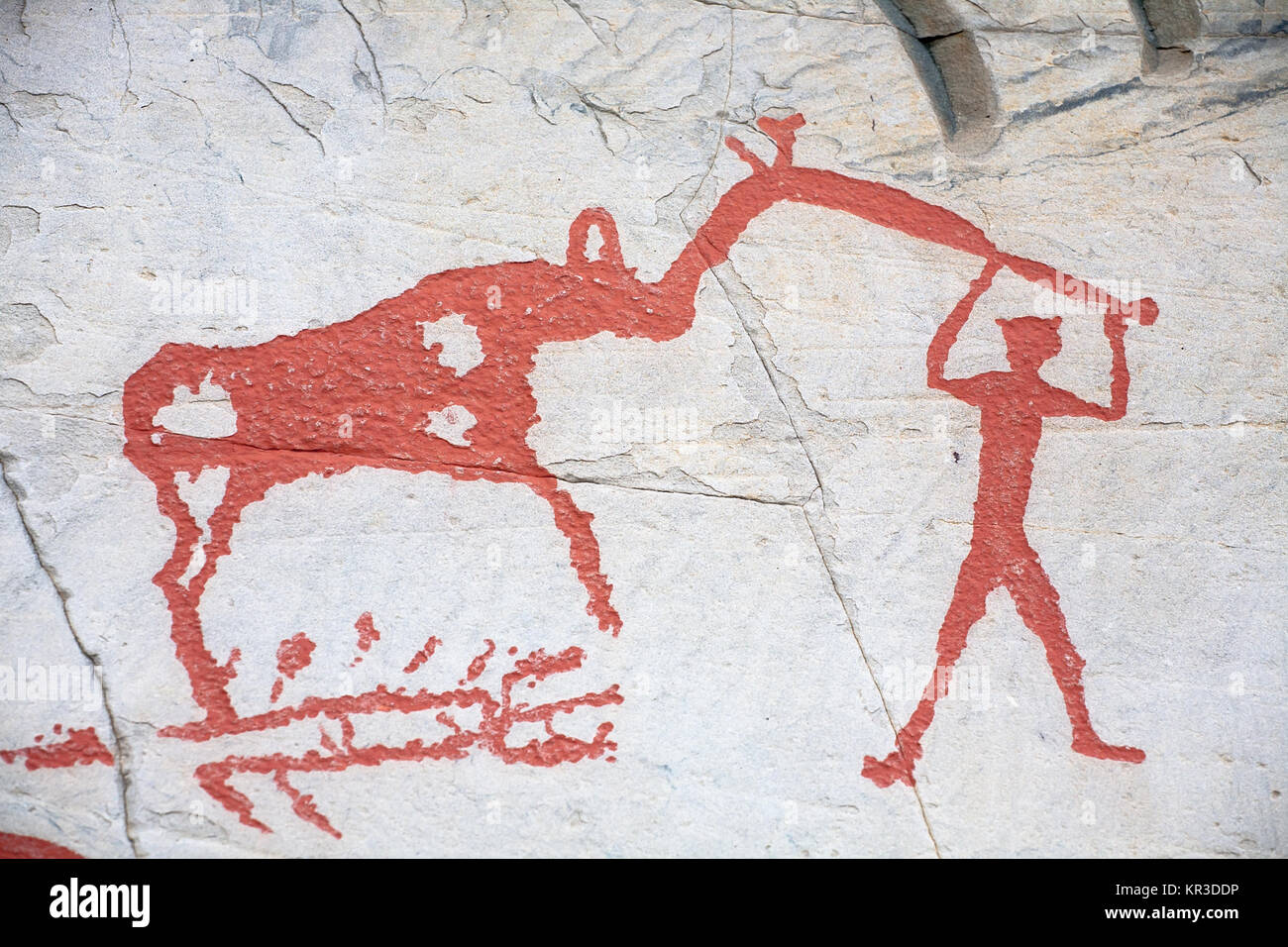 prehistoric rock carving petroglyphs on stone surface closeup Stock ...