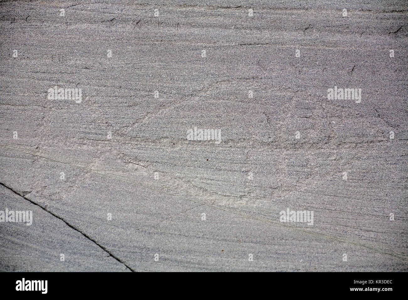 prehistoric rock carving petroglyphs on stone surface closeup, Alta ...