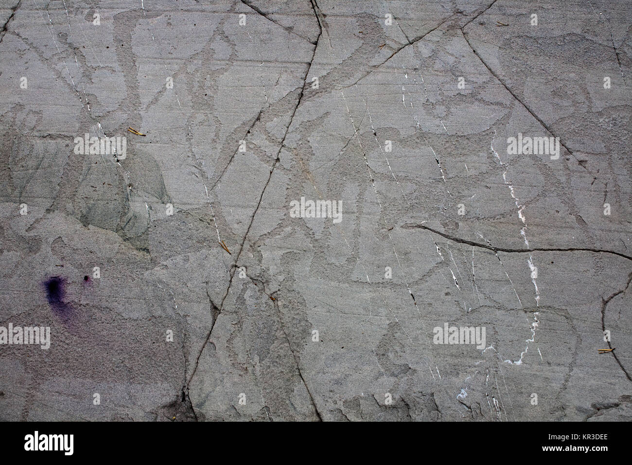 prehistoric rock carving petroglyphs on stone surface closeup Stock ...