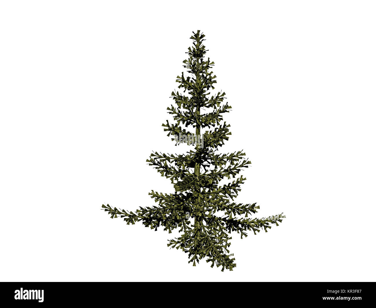 deciduous trees released Stock Photo - Alamy