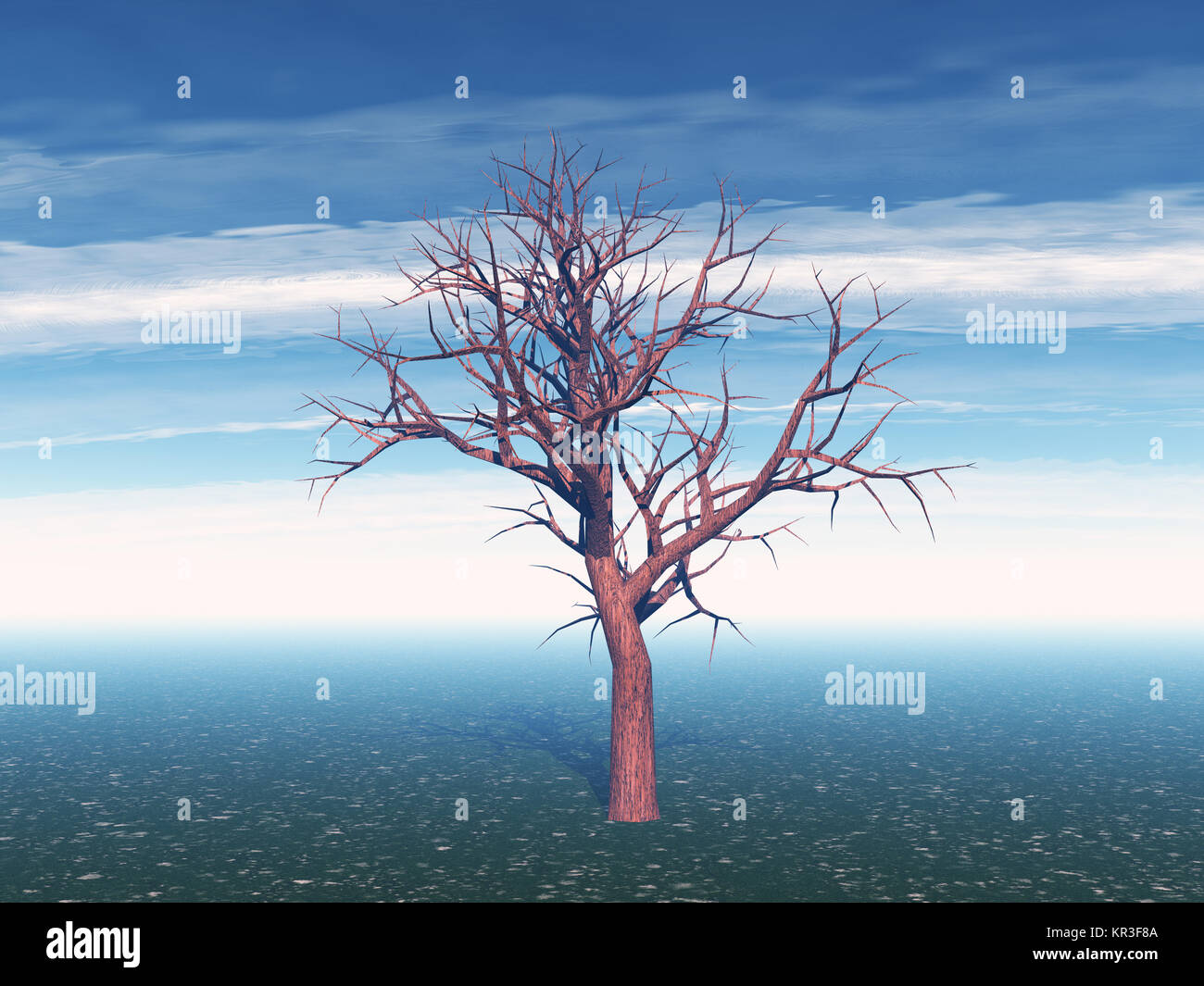 dead deciduous tree on field Stock Photo - Alamy