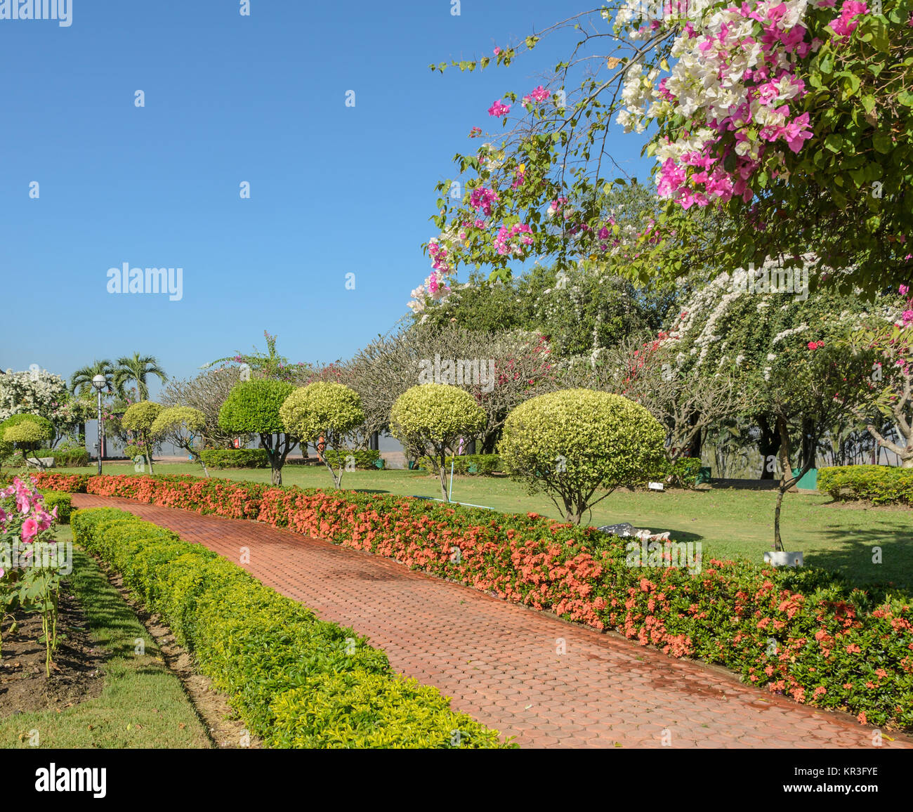 Stone tiled pavement in ornamental flower garden Stock Photo - Alamy