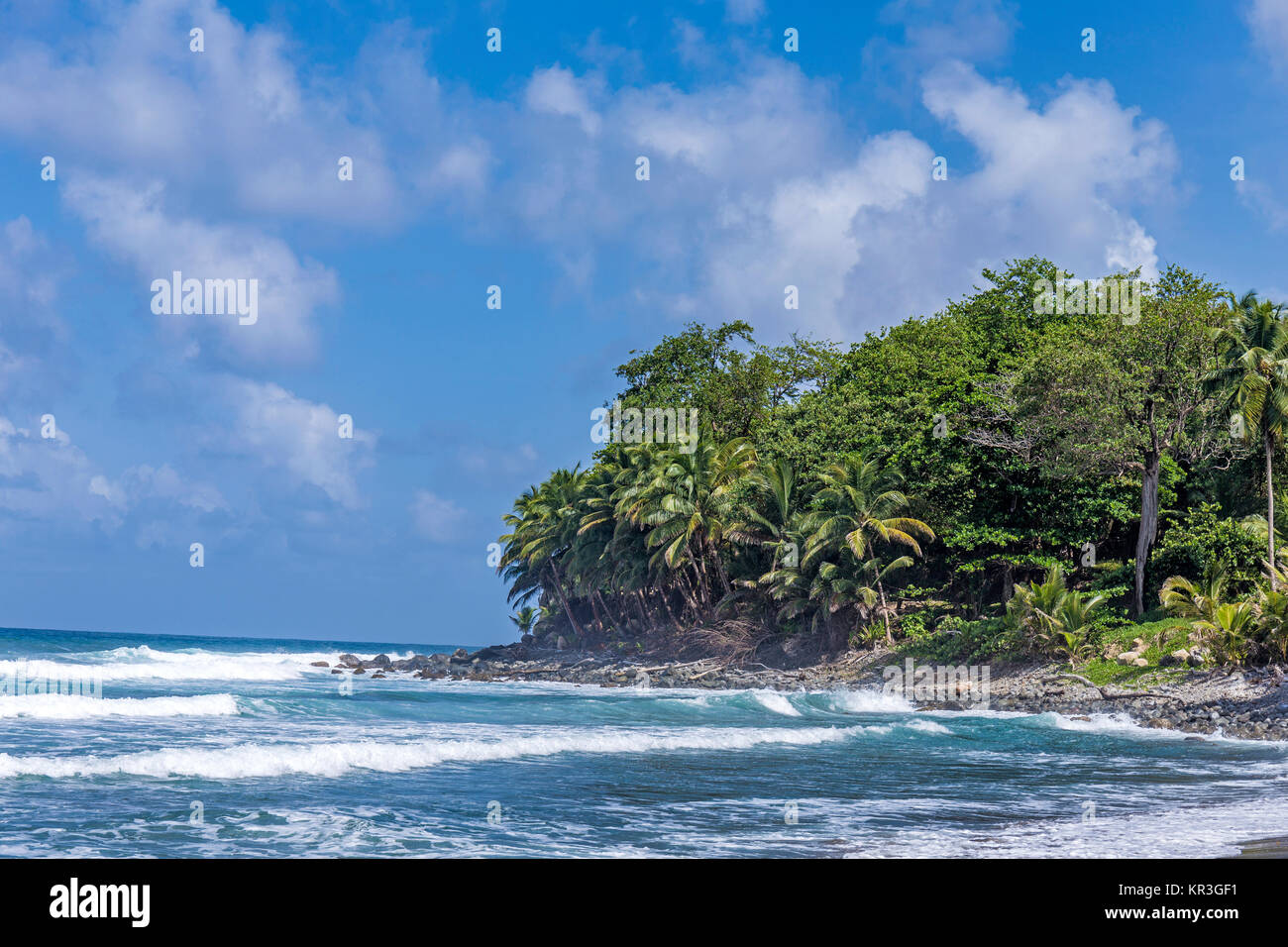 scenic ocean landscape in Dominica with huge waves and view to the ...