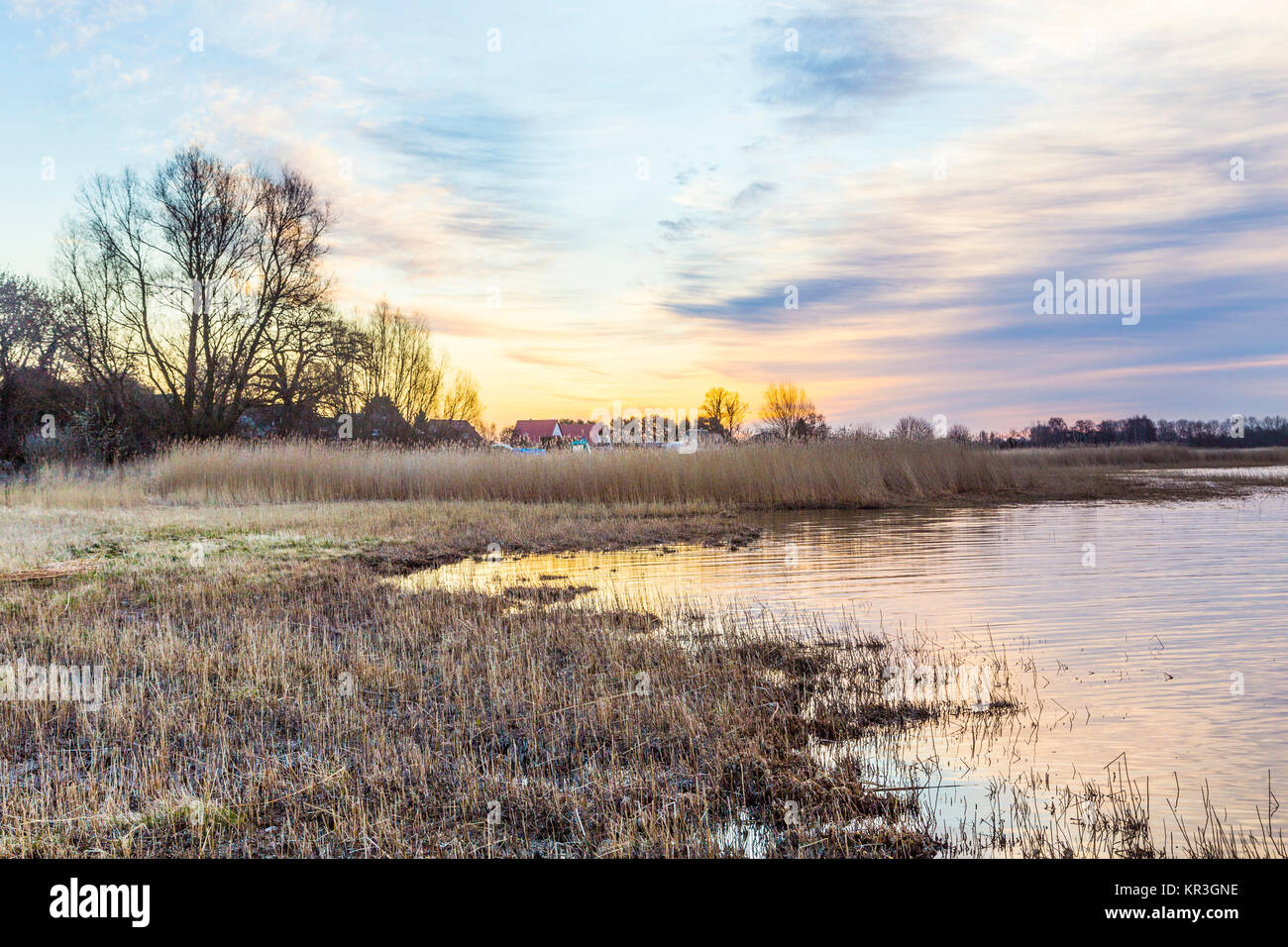 backwater landscape at the island of Usedom with reed grass at the ...