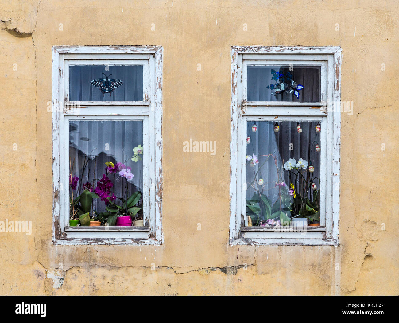 old window with orchid flower decoration inside Stock Photo - Alamy