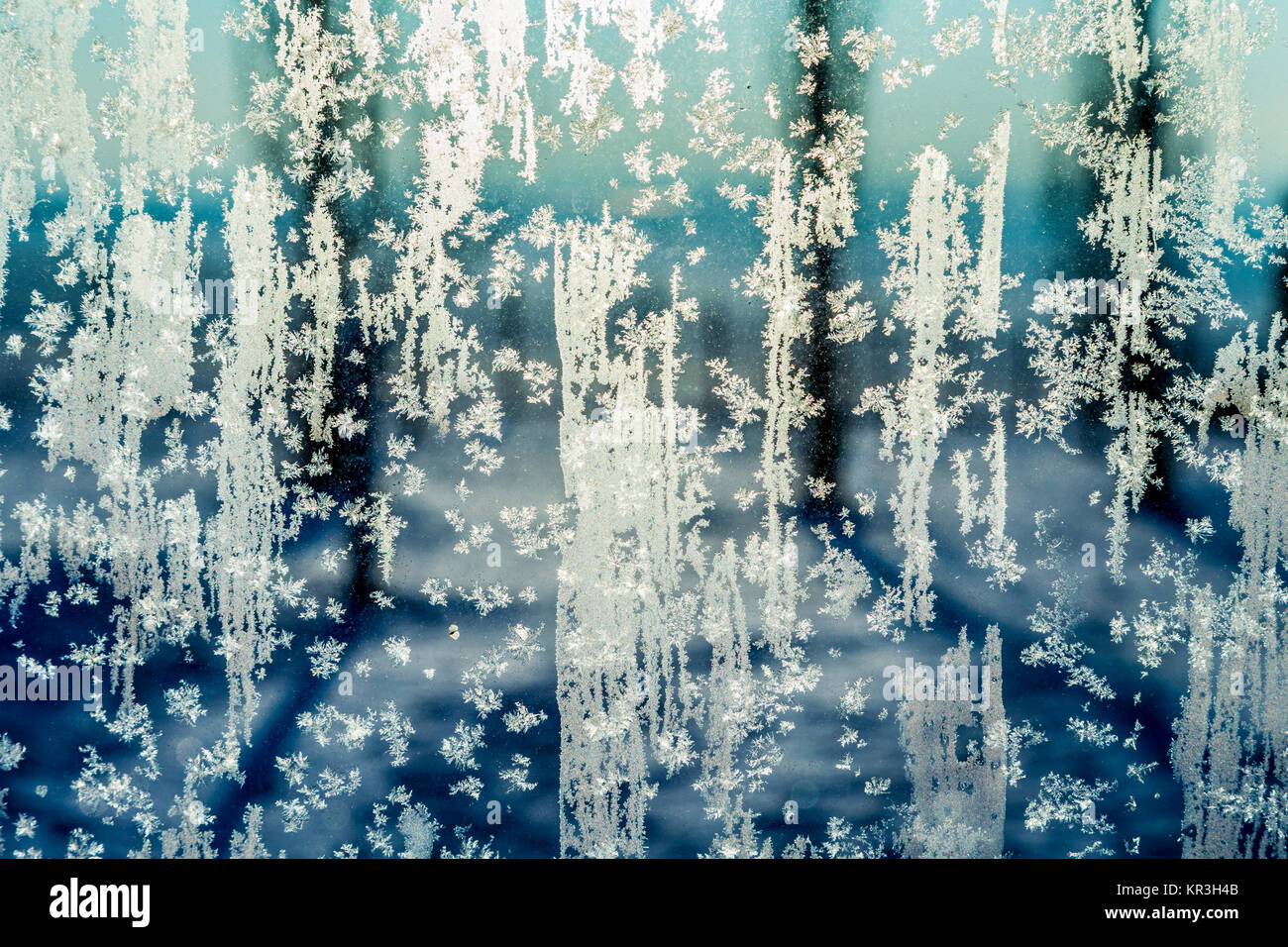 ice stars at the window Stock Photo - Alamy