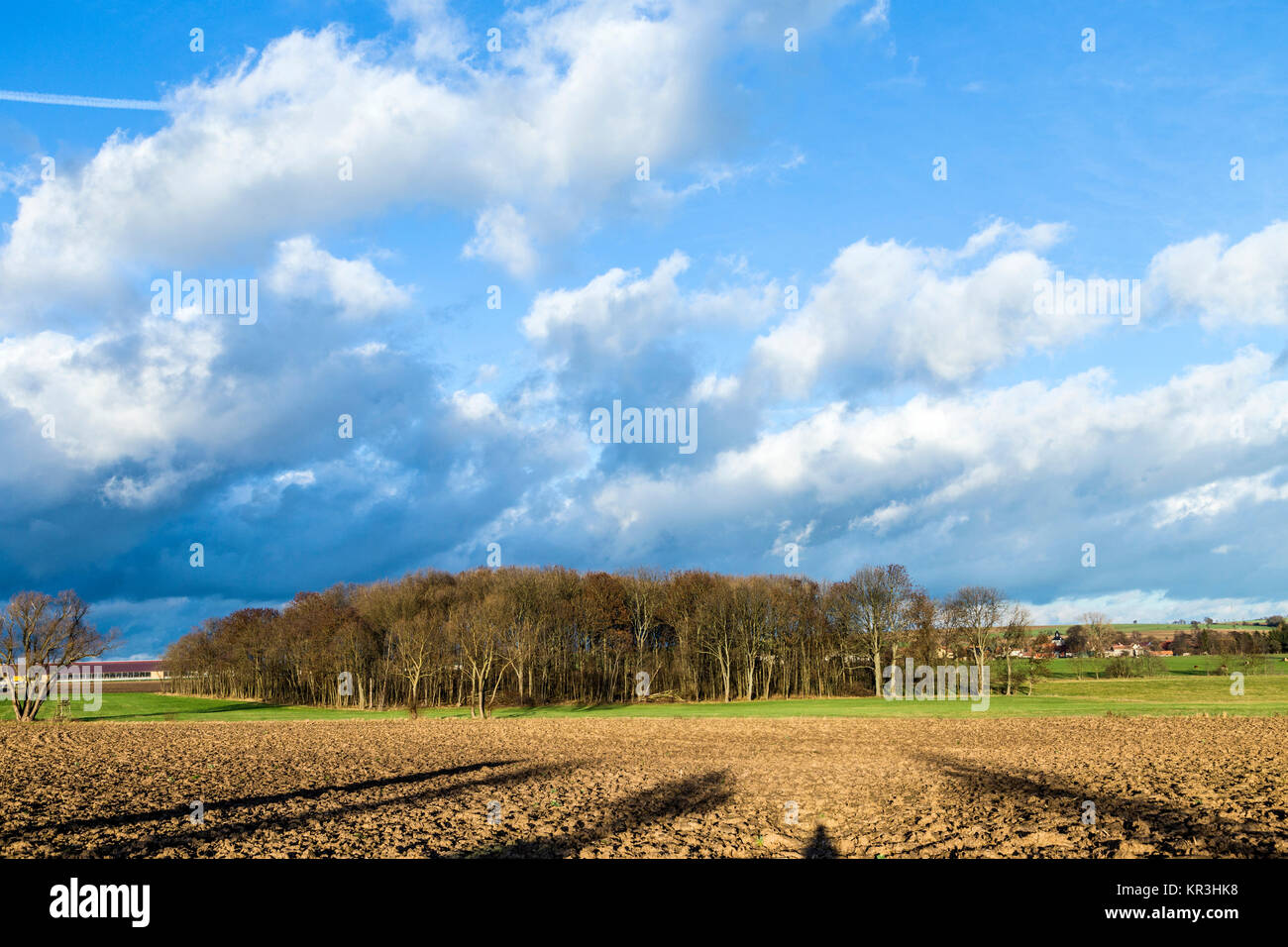 street with trees in Thuringia, Germany in rural landscape Stock Photo ...