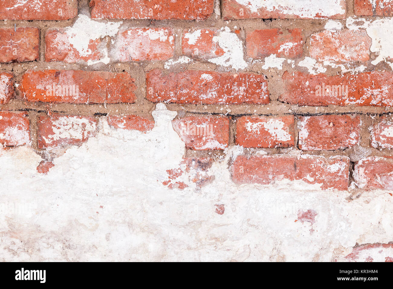 old brick cellar wall with peeling white plaster and paint Stock Photo ...