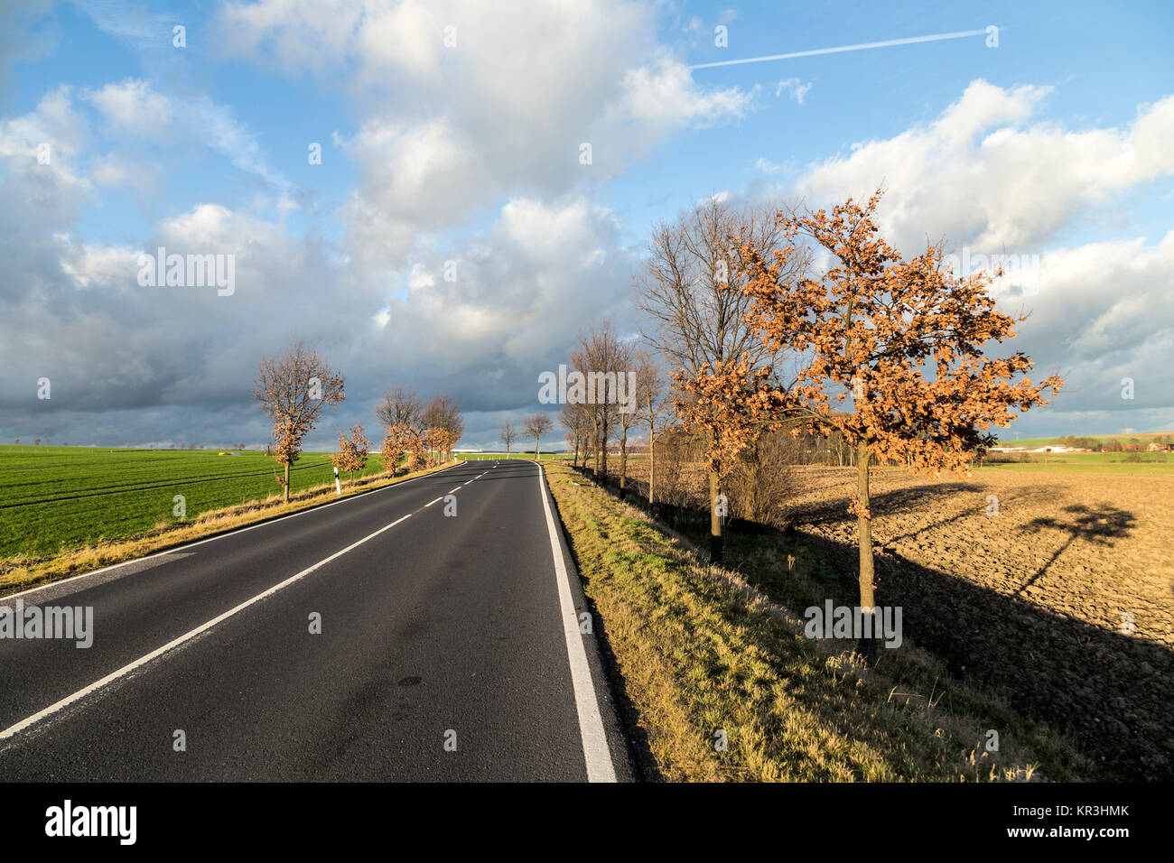 street with trees in Thuringia, Germany in rural landscape Stock Photo ...