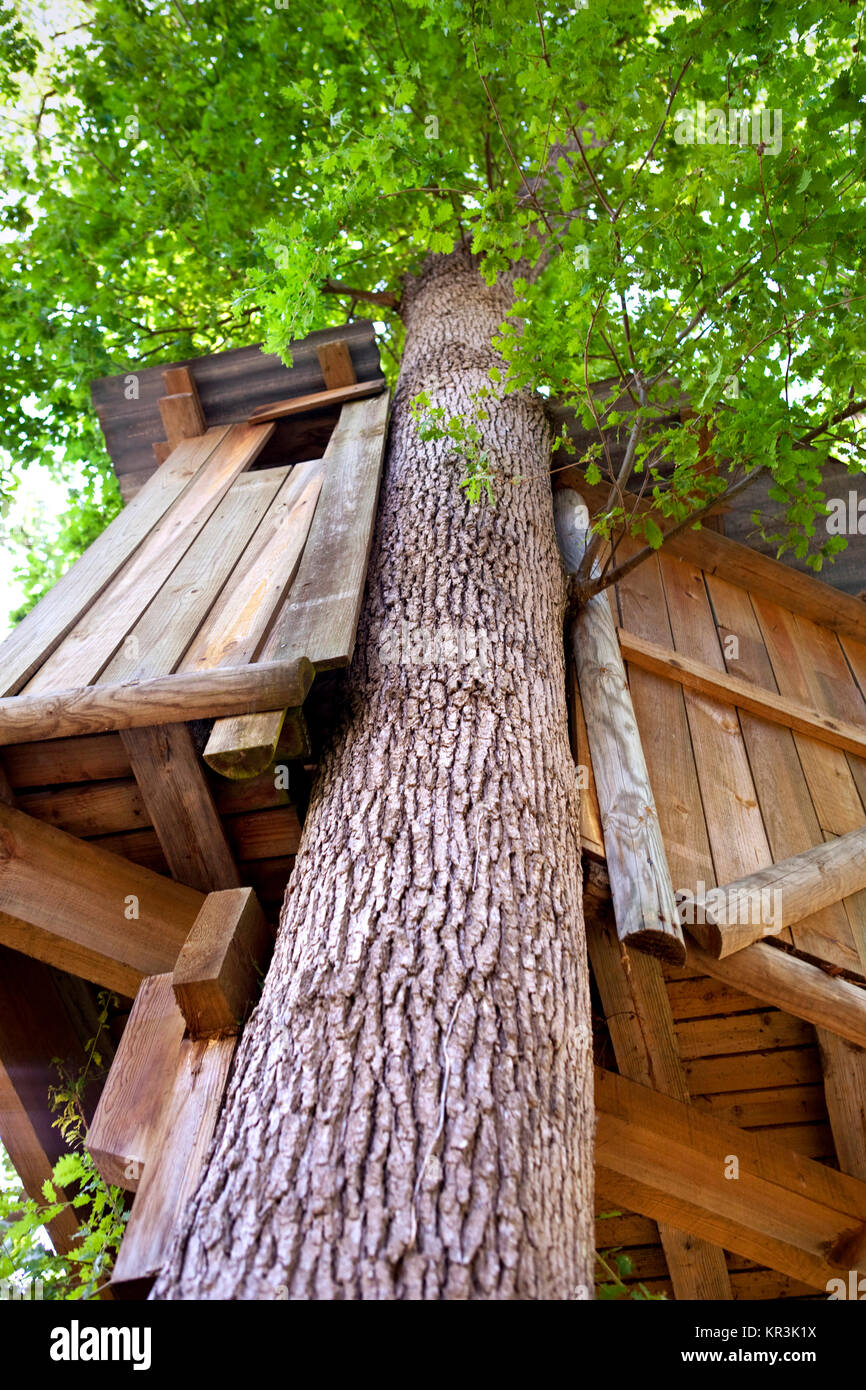 Huts in trees Stock Photo - Alamy