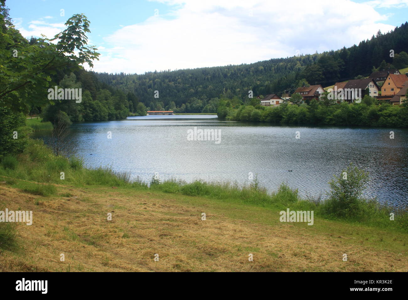 nagold dam in the black forest near erzgrube Stock Photo - Alamy