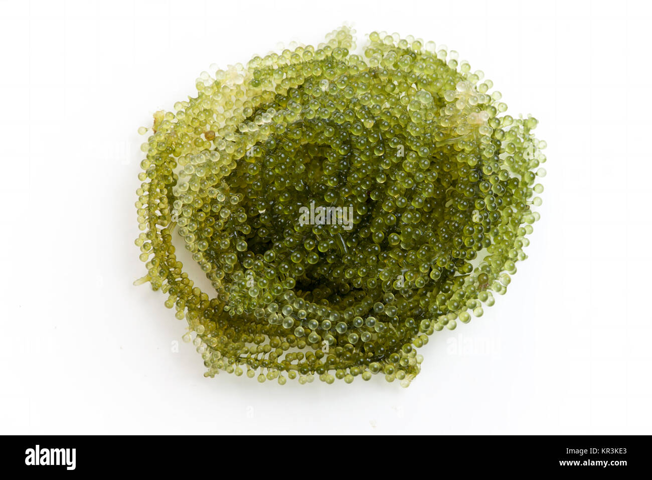 Vegan caviar Cut Out Stock Images & Pictures - Alamy