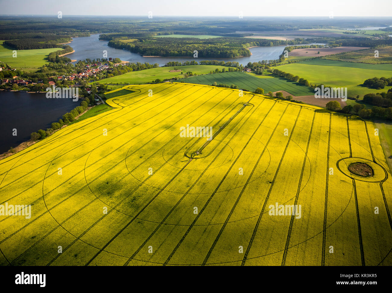 Rapeseed field germany hi-res stock photography and images - Alamy