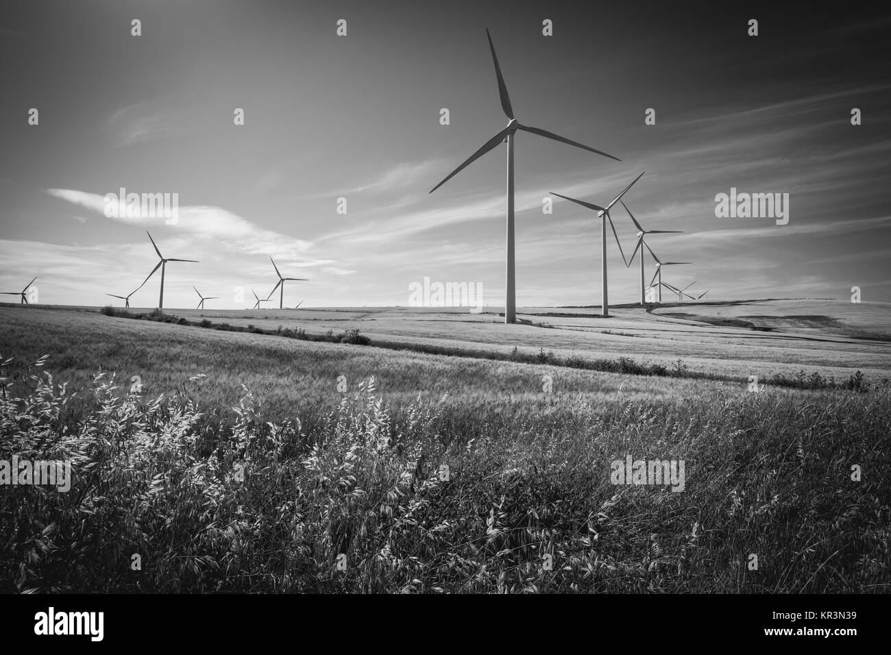 Renewable green power windmills Black and White Stock Photos & Images ...