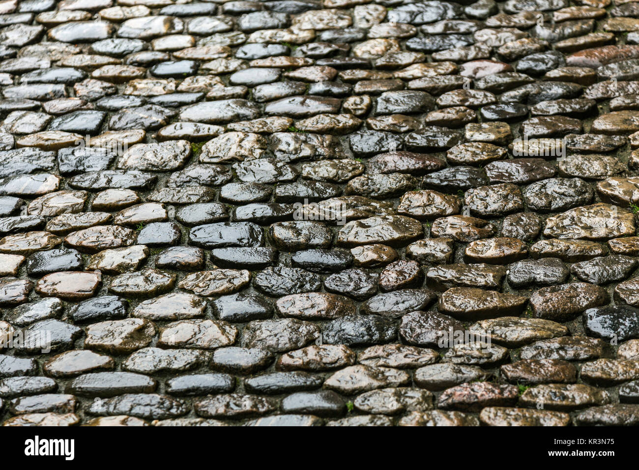 wet old historic cobble stone road Stock Photo - Alamy