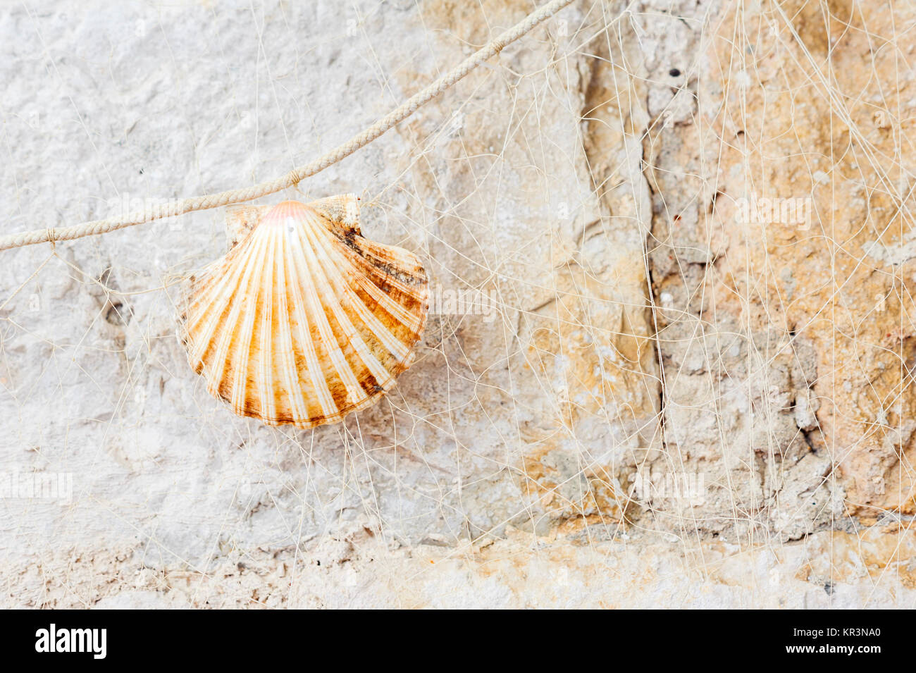 Fishing net with sea shells and copy space Stock Photo - Alamy
