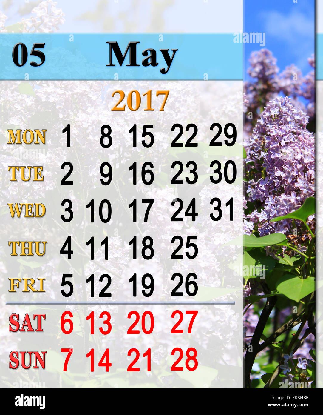 calendar for May 2017 with lilac bush Stock Photo - Alamy