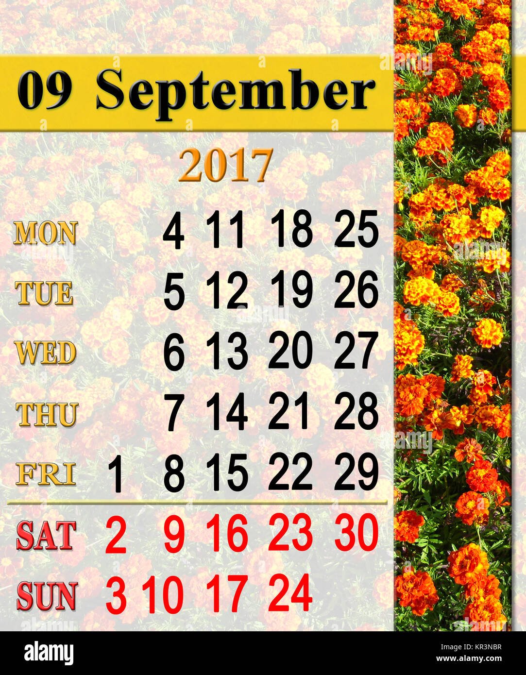 calendar for September 2017 with marigolds Stock Photo - Alamy