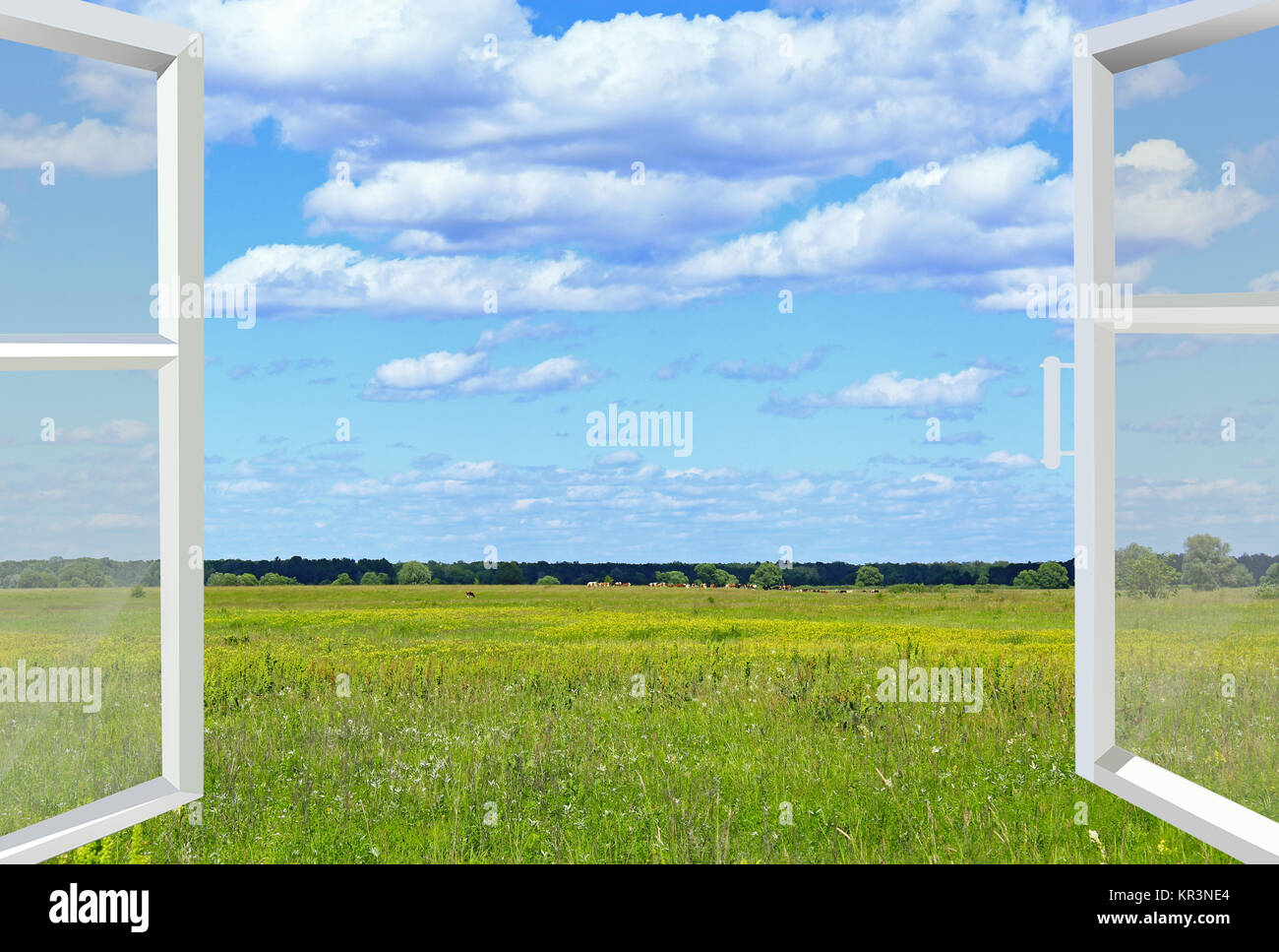 view from window to the summer Stock Photo - Alamy