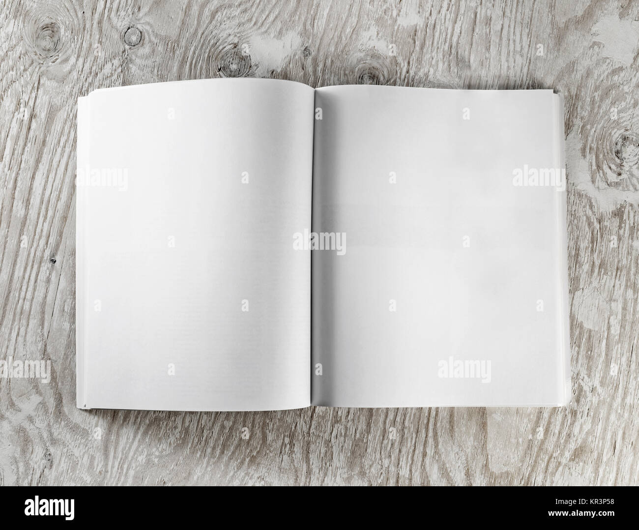 Blank opened book Stock Photo - Alamy