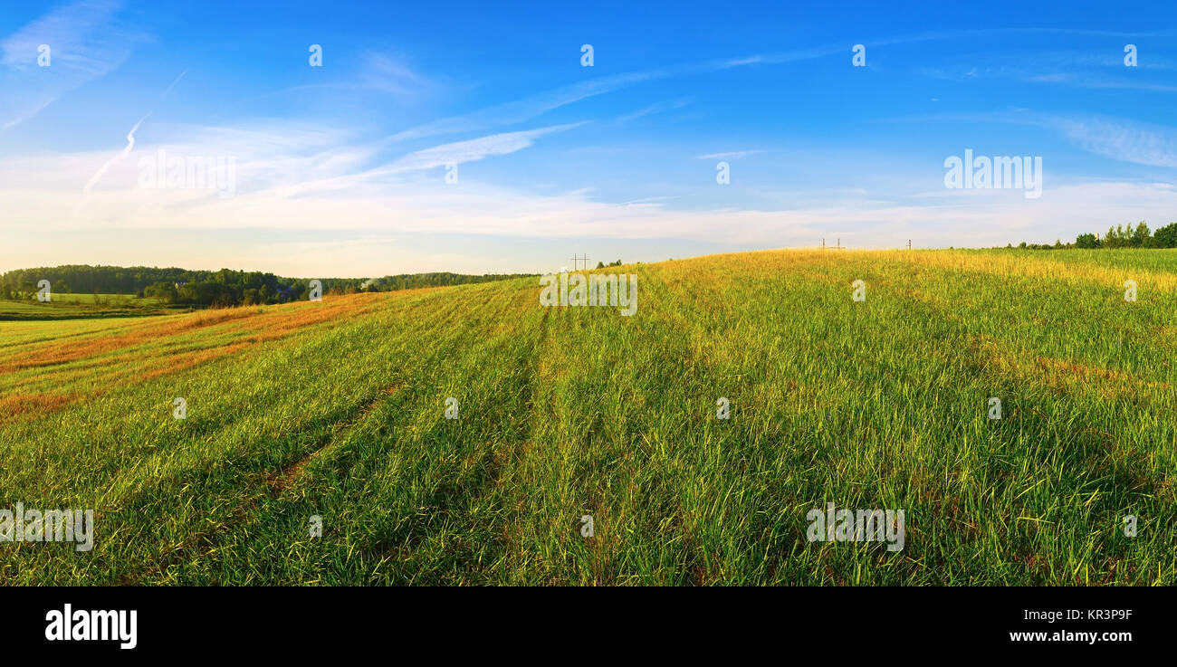Panoramic rural landscape Stock Photo - Alamy