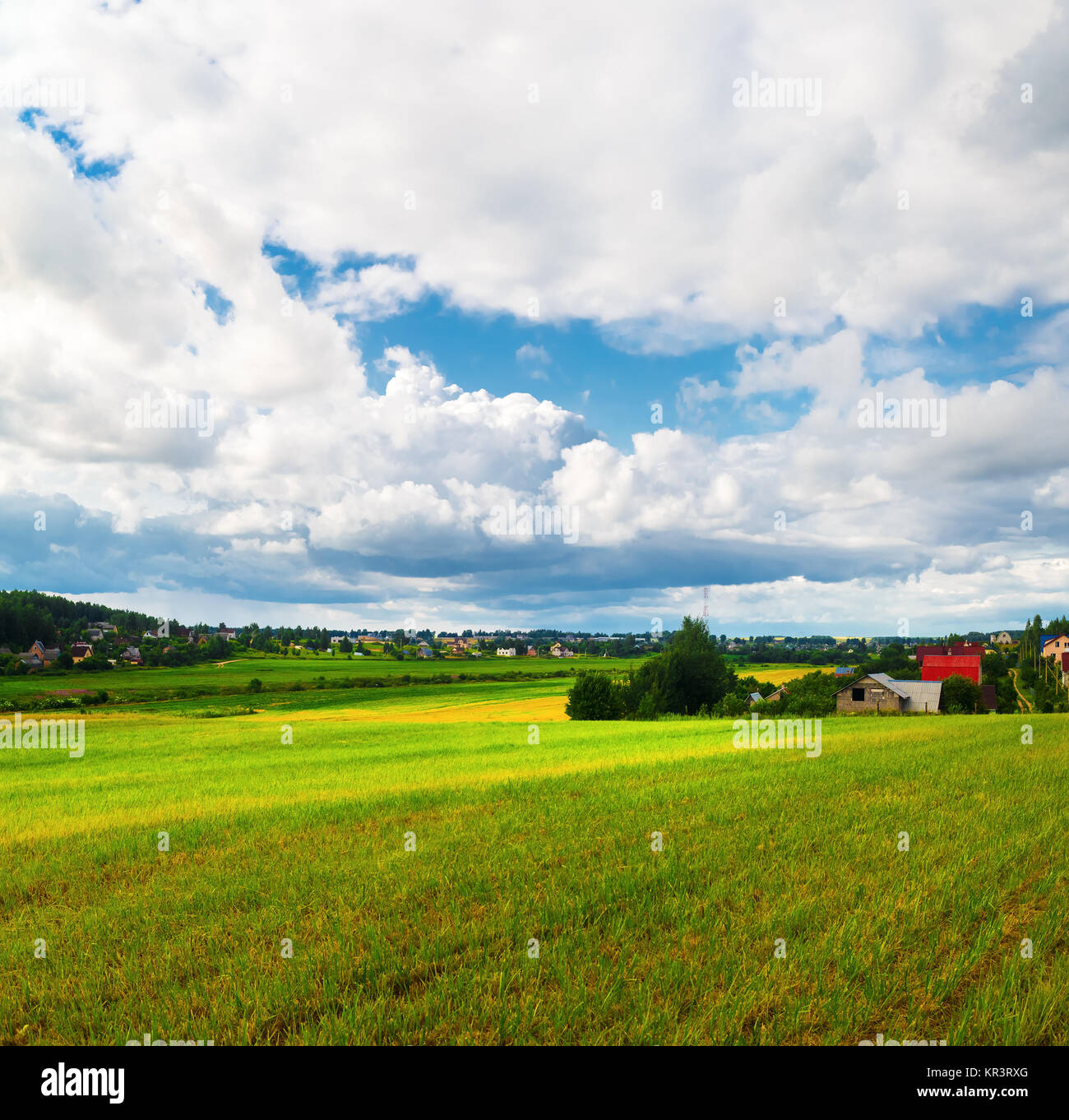 Summer rural landscape Stock Photo - Alamy