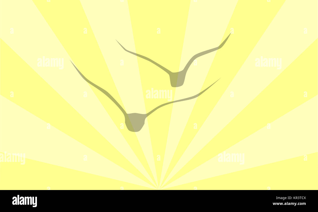 Birds Against The Sun Stock Photo - Alamy