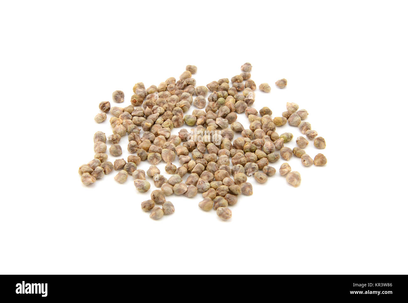 Botany vegetable hi-res stock photography and images - Alamy