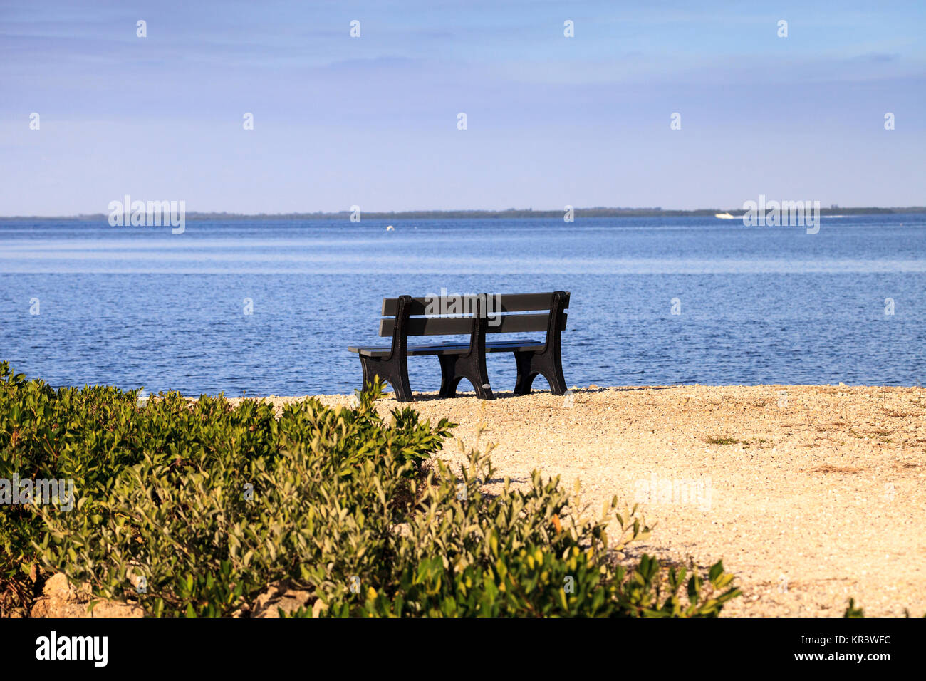 Secluded bench overlooking a large wetland marsh in the Ding Darling ...