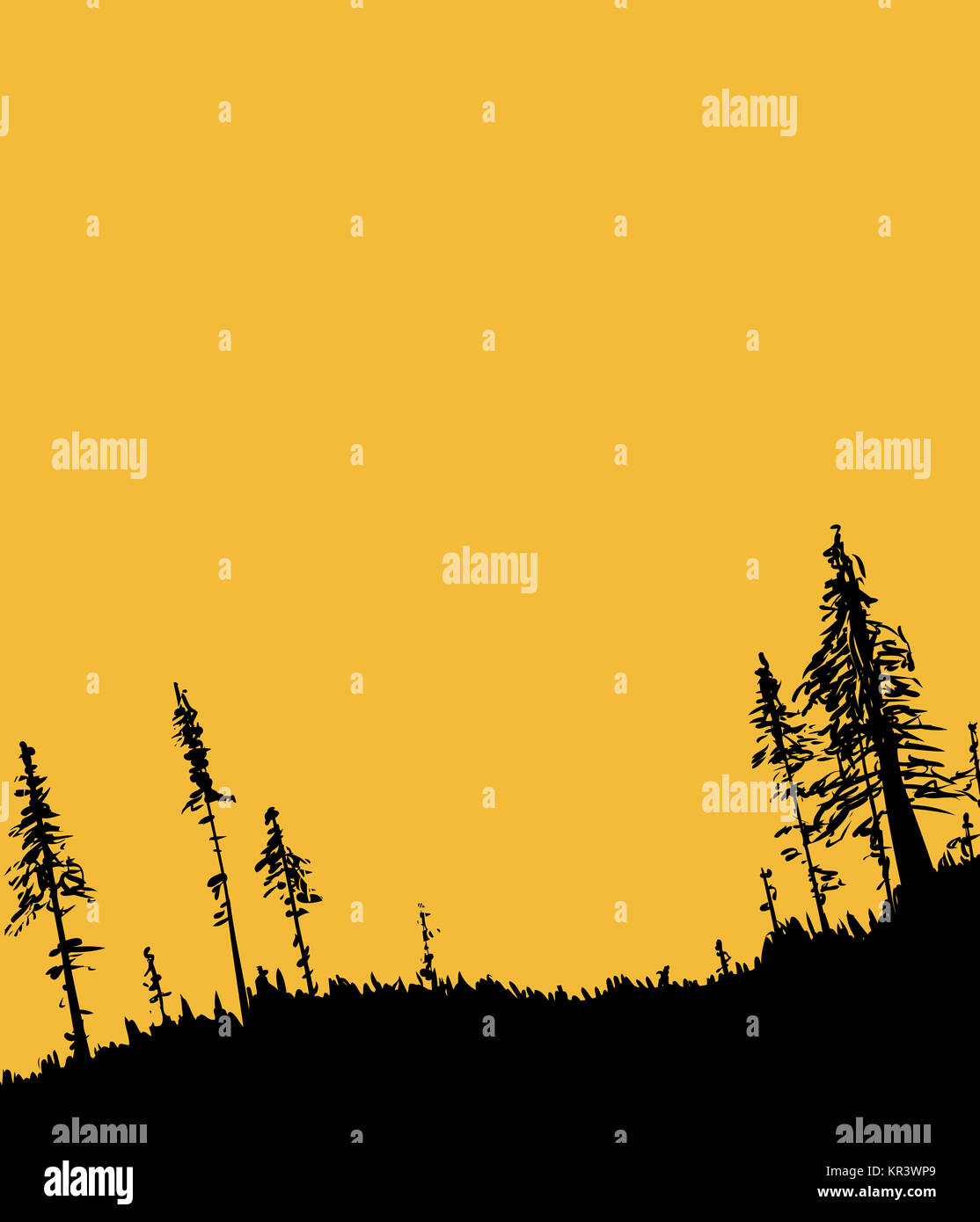 Swedish Forest Background at Sunset Stock Photo - Alamy