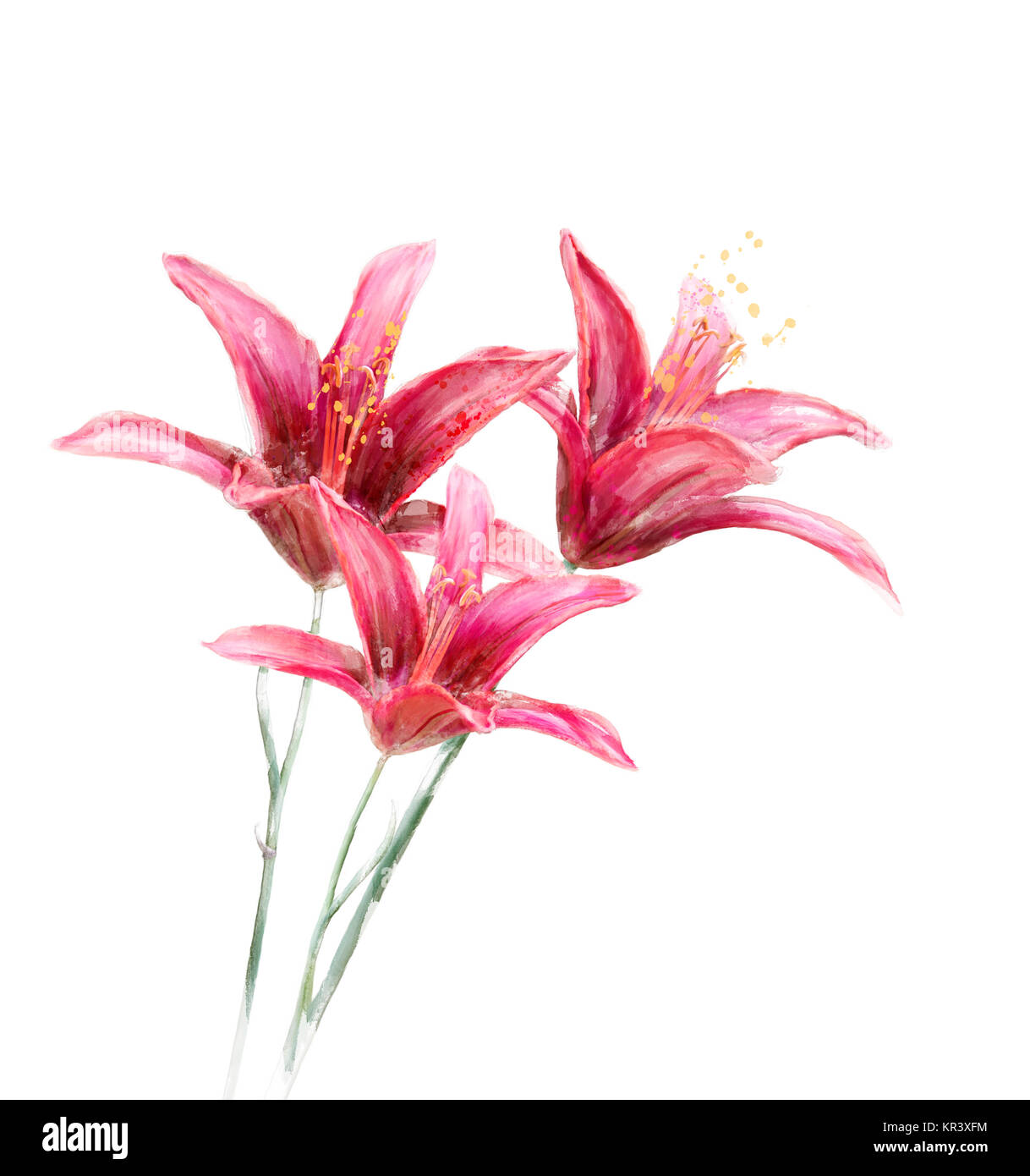 Red lily illustration Cut Out Stock Images & Pictures - Alamy