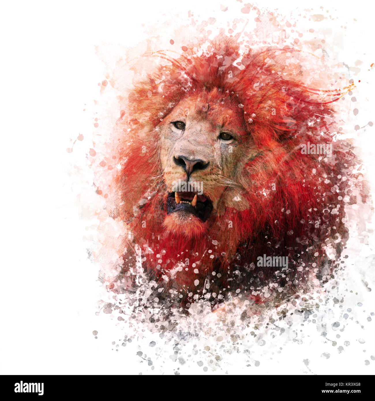 Lion Head watercolor Stock Photo - Alamy