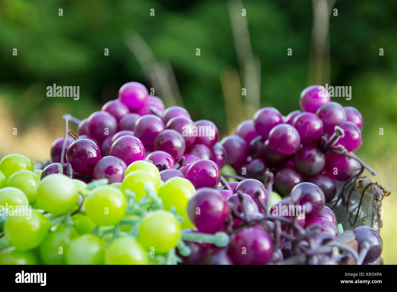 Trauben aus Plastik Stock Photo - Alamy