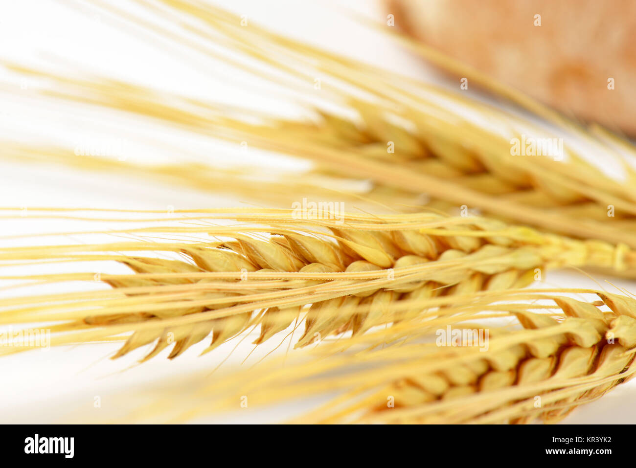 ripe grain ears Stock Photo - Alamy