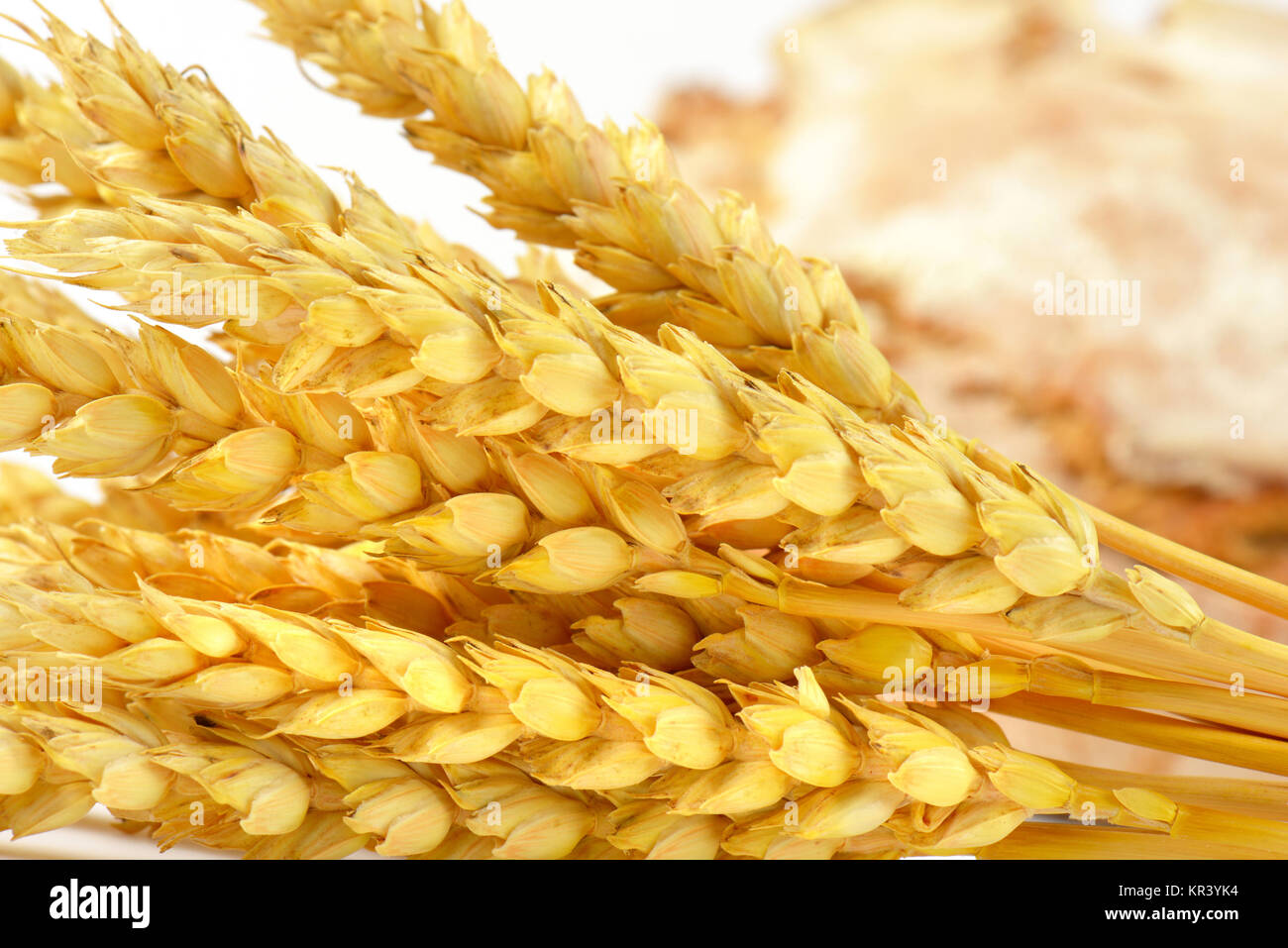 ripe grain ears Stock Photo - Alamy